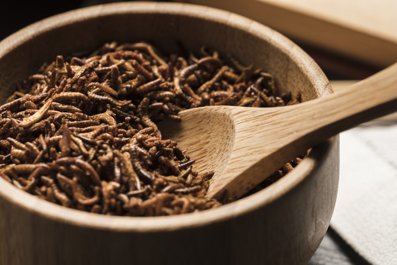 How to Eat Insect? Exploring the Gourmet Insects and 10 Big Exotic ...